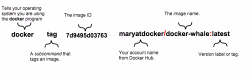 Docker Commands With Examples A List I Devteam Space