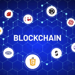 What programming language do blockchain developers use?