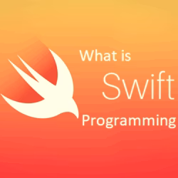 Blog - DevTeam.Space