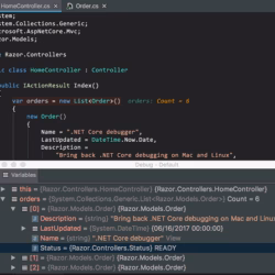 What is an IDE? - DevTeam.Space